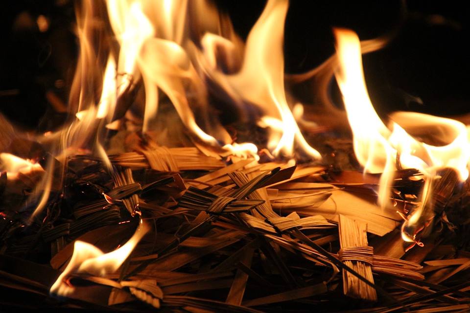 Ash Wednesday - Daniel Nicewonger